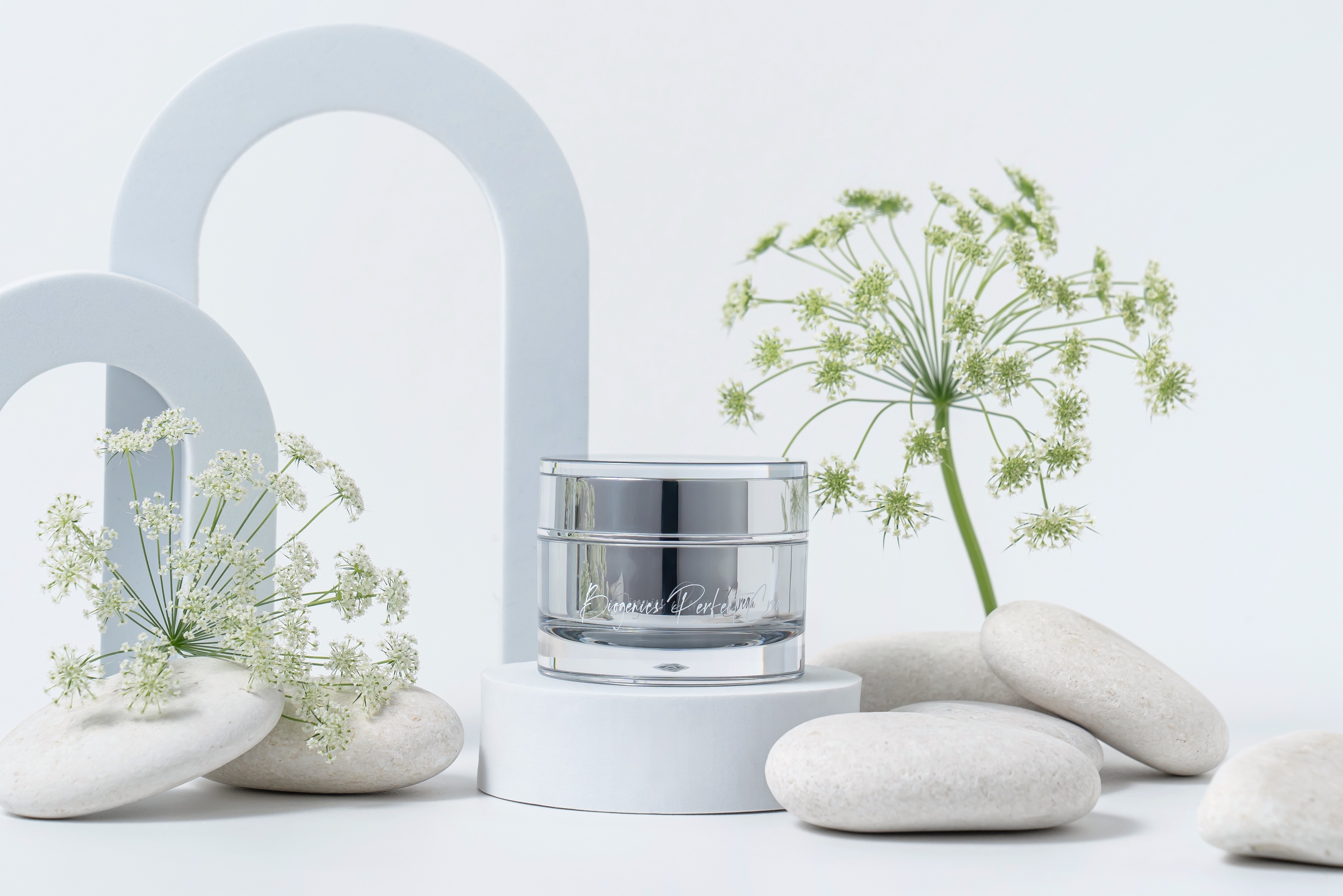 RENOVATIO ～BRAND TOP～